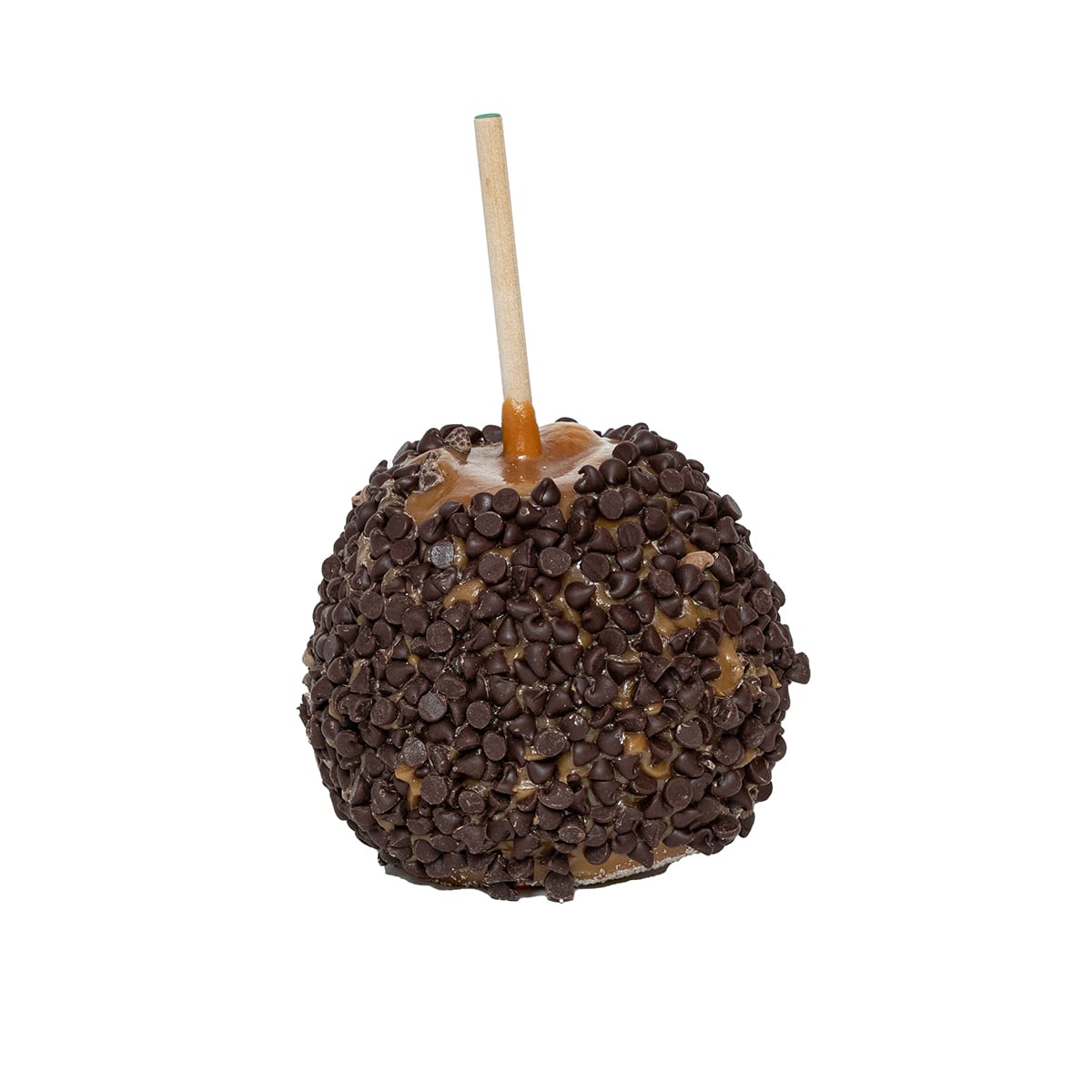 Chocolate Chip – Chocolate Monkey